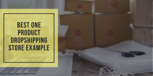 12 Best One Product Dropshipping Store Examples